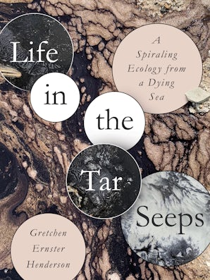 Life in the Tar Seeps- Trinity University Press